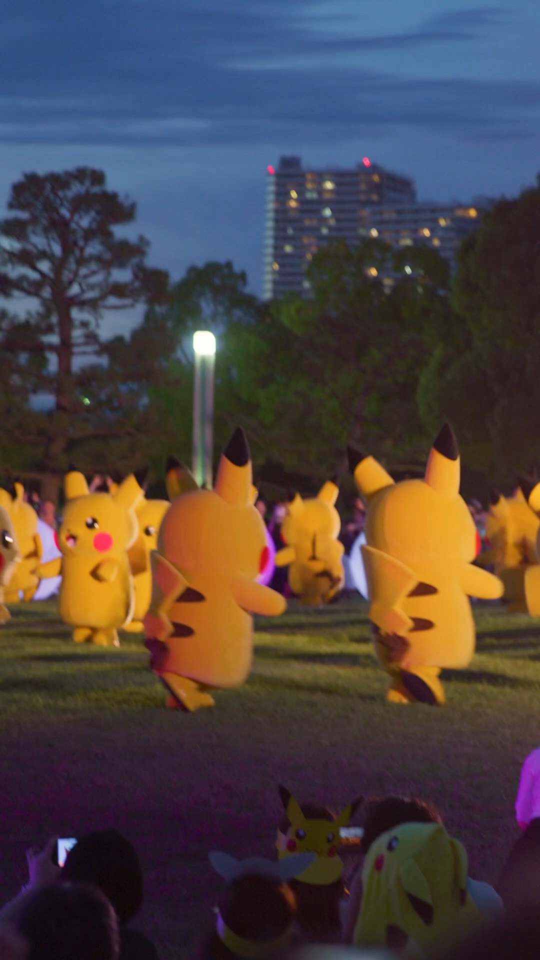 Cielo Pokemon