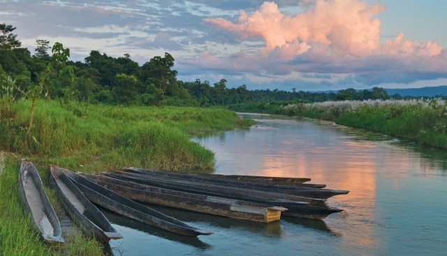 Experts thrilled after photographing rare creature for first time in ...