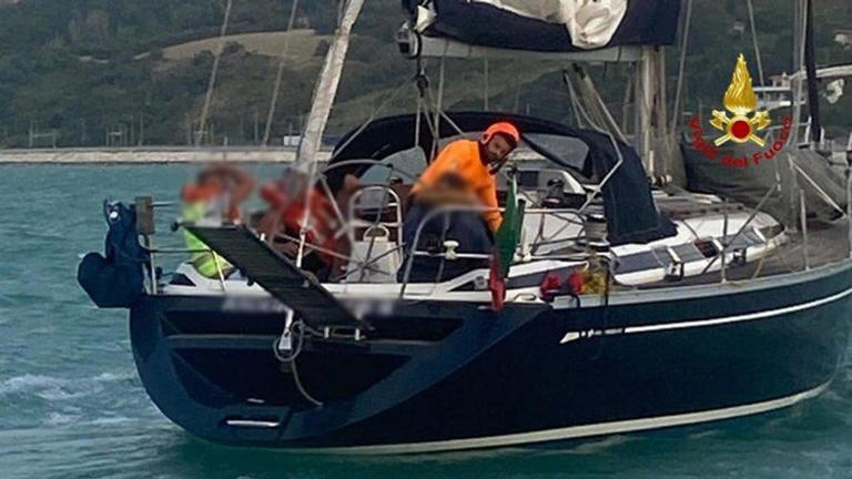 Phantom Limb Sensations Solved? Your Brain's Body Map Stays Intact Even ...