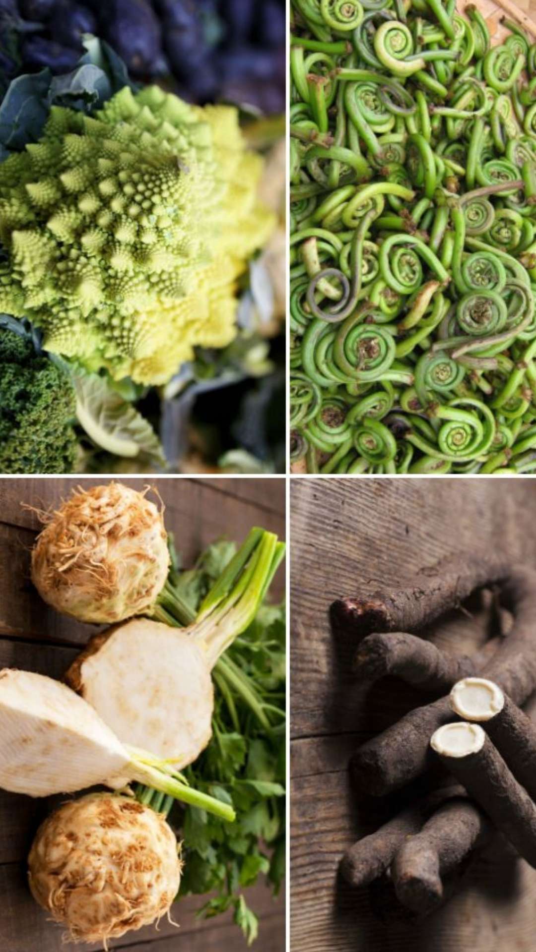 7 Exotic Vegetables Grown In Northeast India
