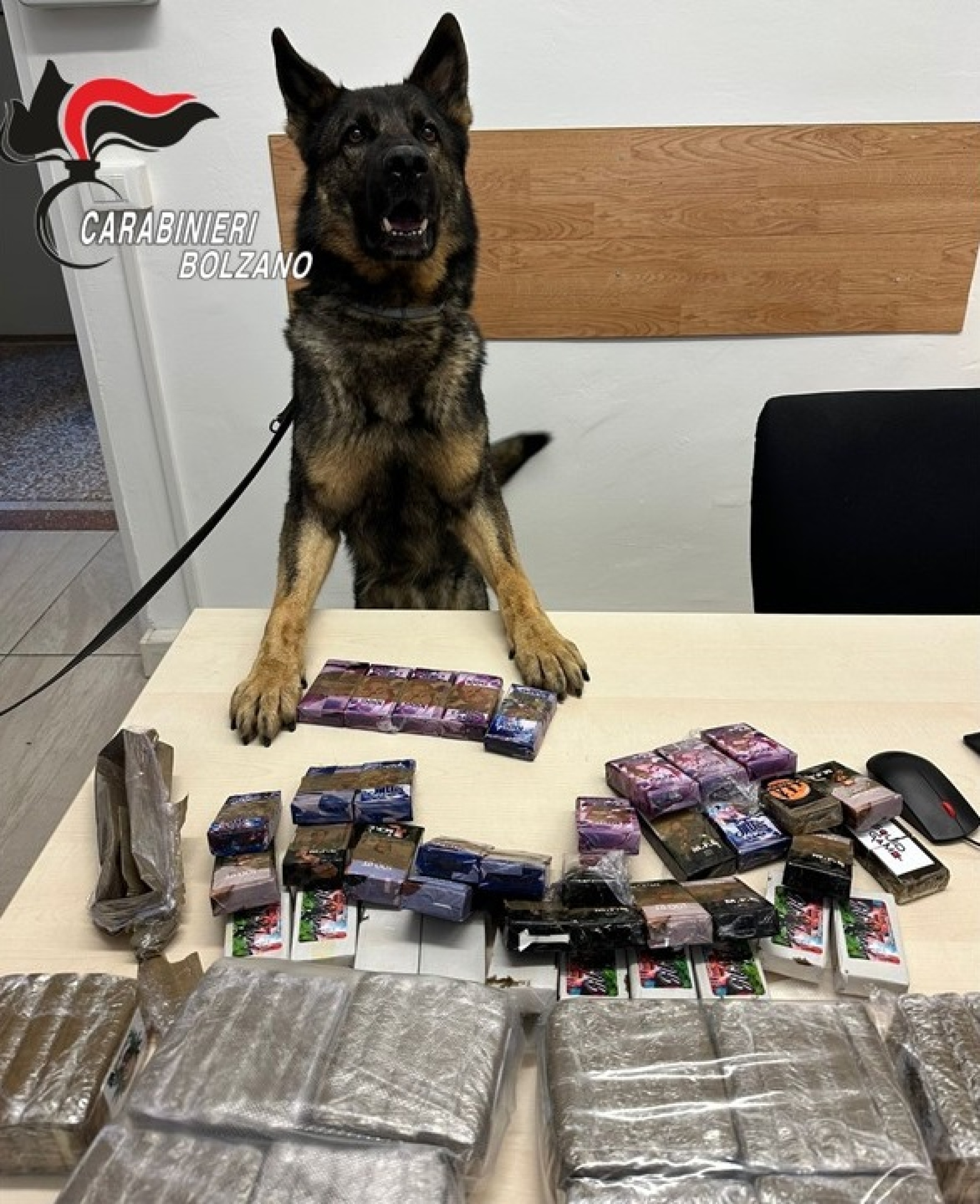 Cane antidroga Chip scopre 16.000 dosi di hashish