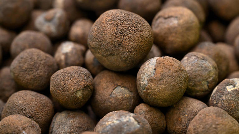 What changed for deep-sea mining in 2025? Everything.