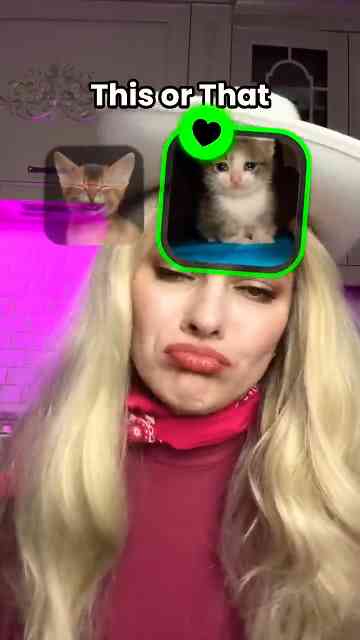 Funny Cat Meets Barbie
