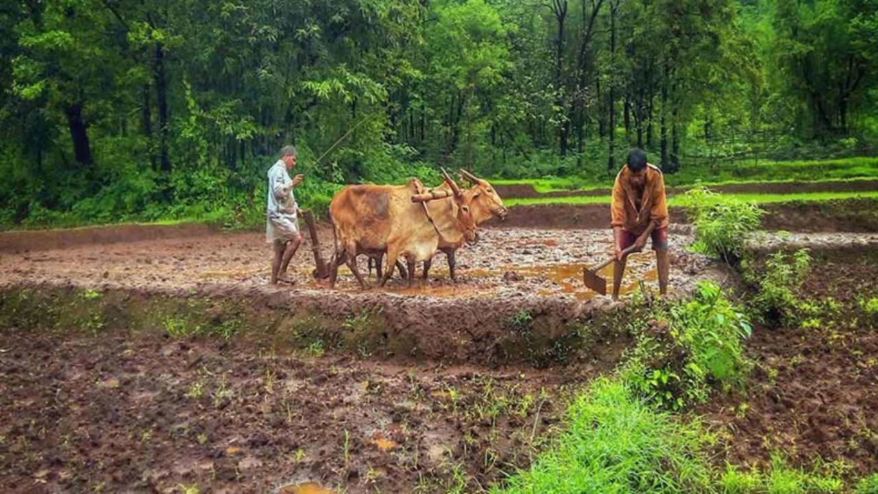 वैश्विक खाद संकट और मिट्टी की खराब होती सेहत के बीच बड़ी पहल : गुजरात ...