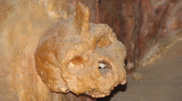 ‘Petralona man’ fossil: A 3,00,000-year-old skull found 60 years ago ...