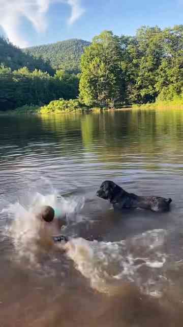 My Kind of Rich – Life with a Rottweiler