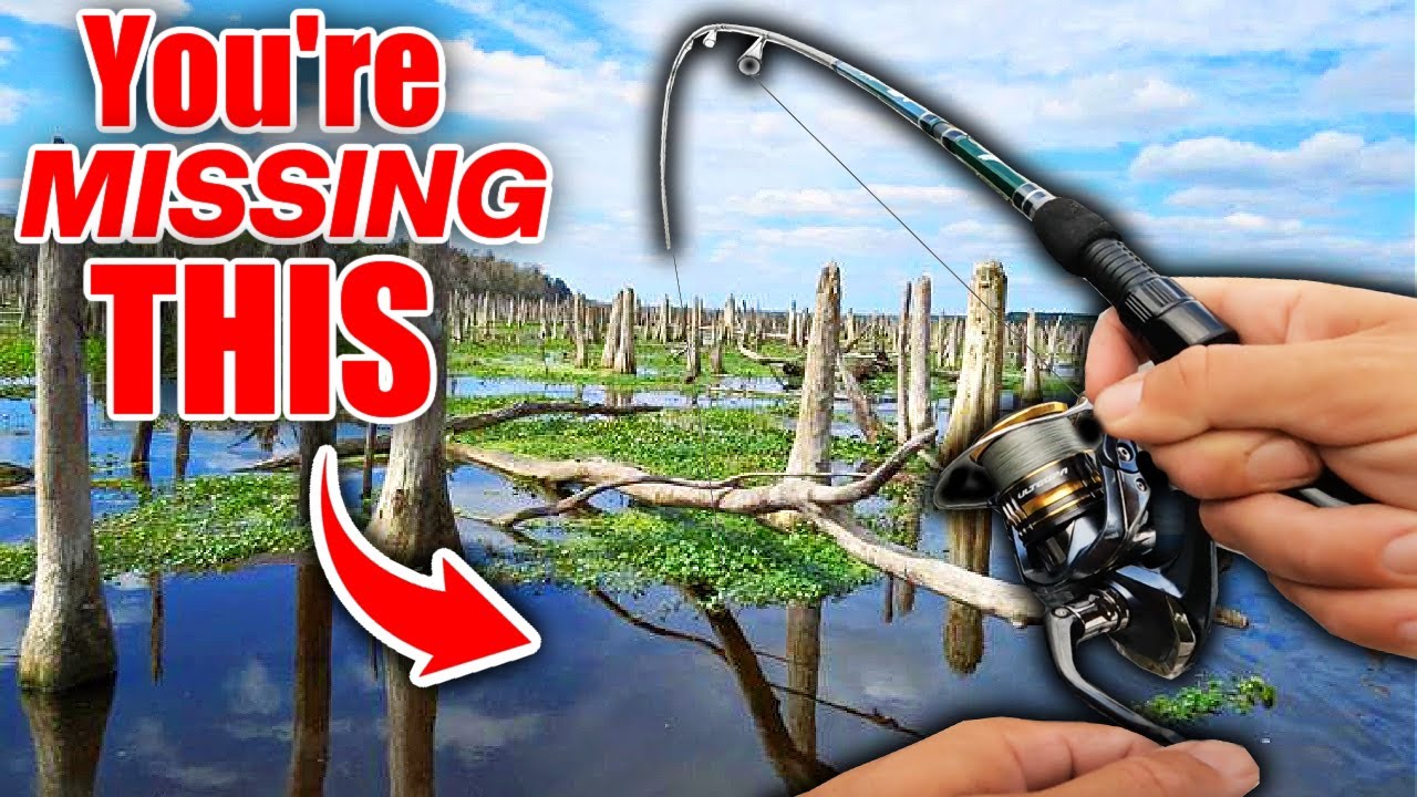 Ninety-nine percent of fishermen too scared to fish like this