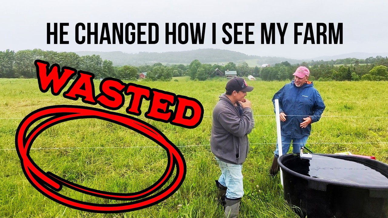 What grass whispering taught me about caring for my farm