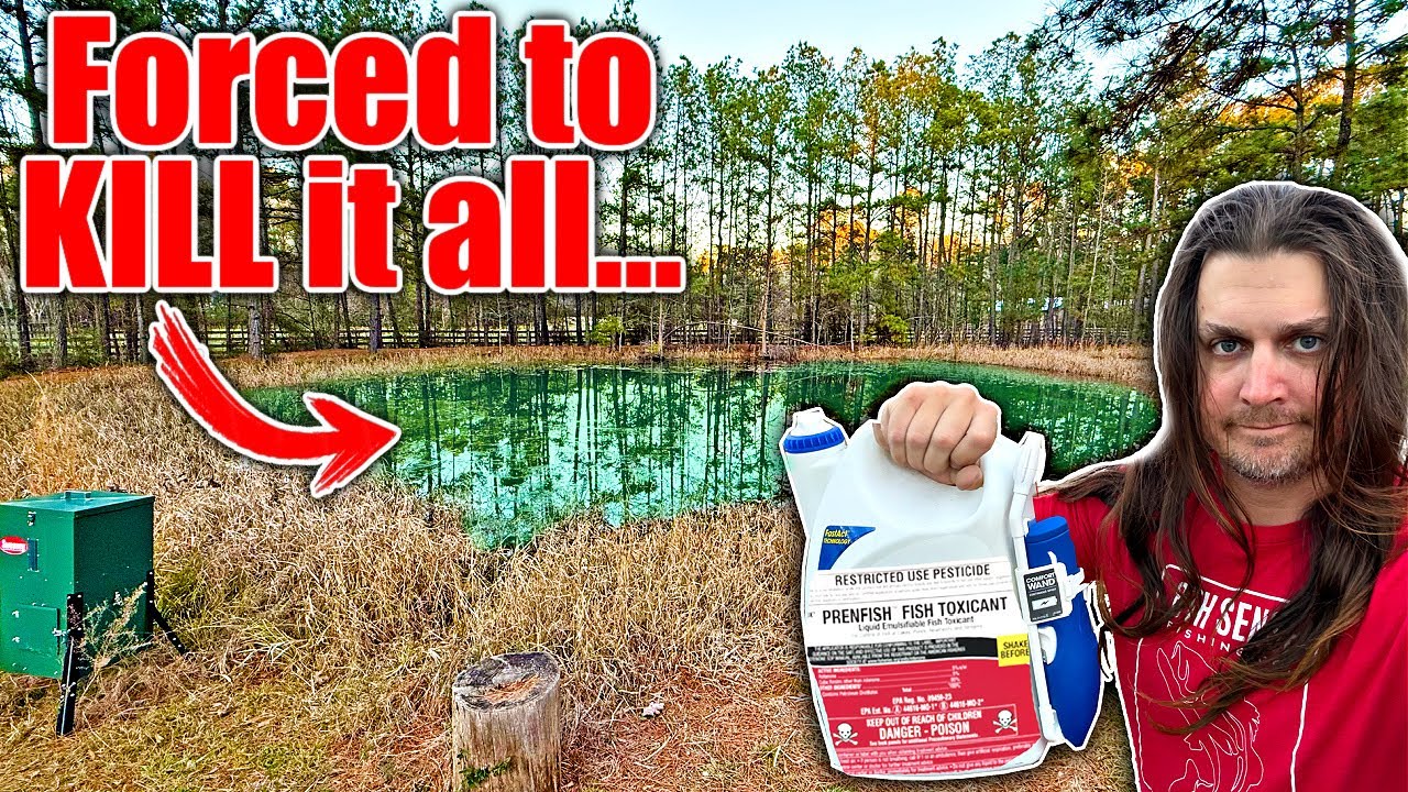Forced to kill off backyard ponds environmental dilemma