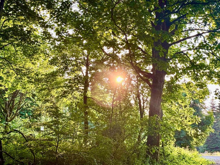 Cops share details on search for Sov Cit