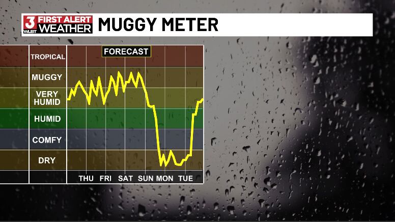 Tracking hot and muggy weather here at home