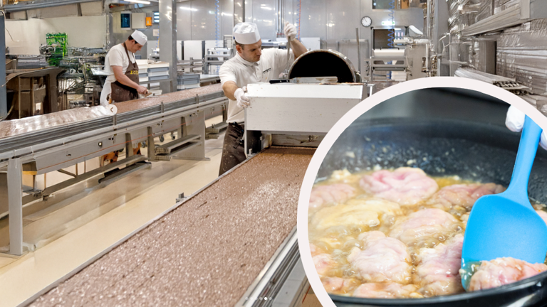 Echtes Brainfood – Zotter verkauft "Hirn mit Ei" Schoki