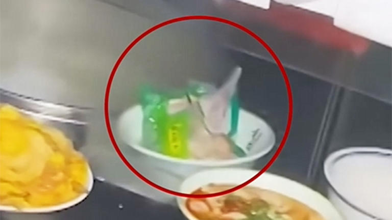 Map shows states with Chagas disease amid call for action