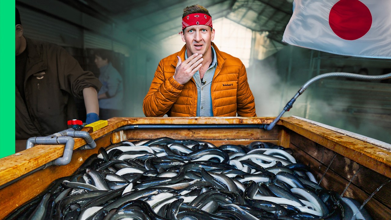 Inside Japan’s most bizarre seafood farm!