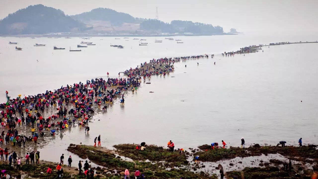 This island in South Korea reveals a secret sea road—and you can walk ...