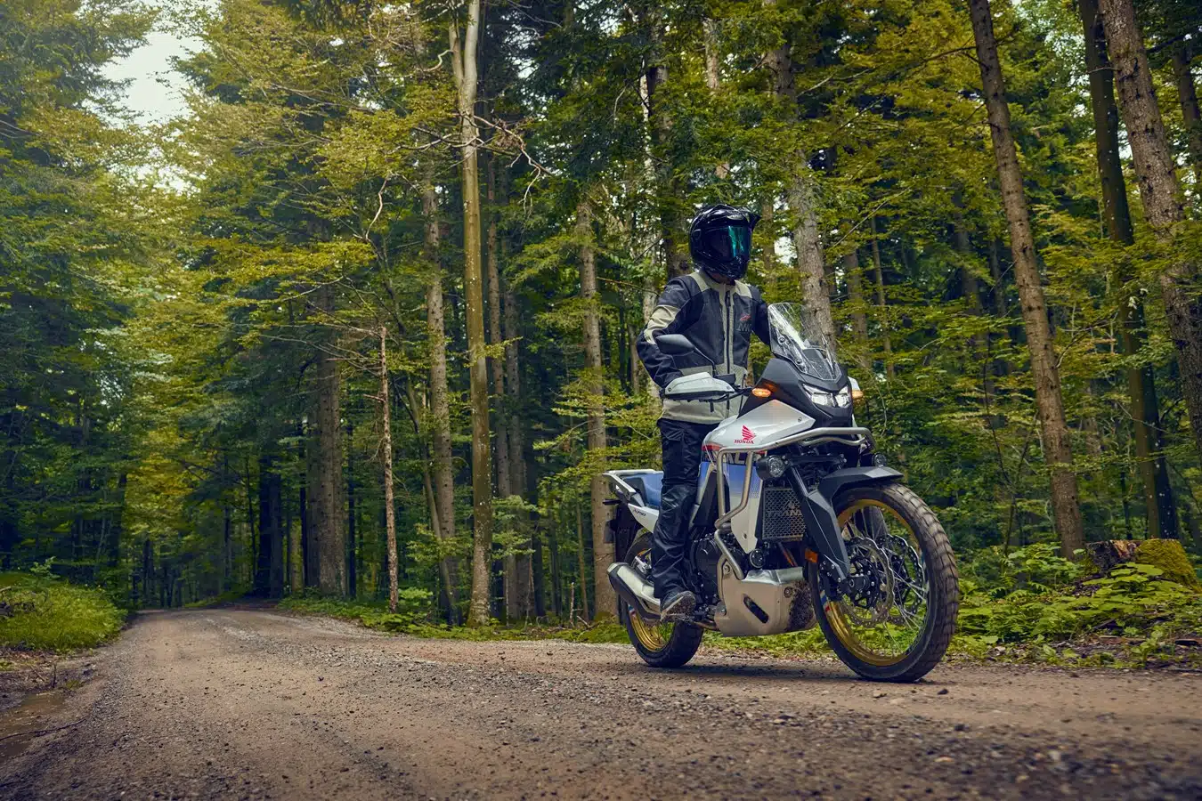 Il ritorno trionfale di un'icona: la Honda XL750 Transalp alla ...