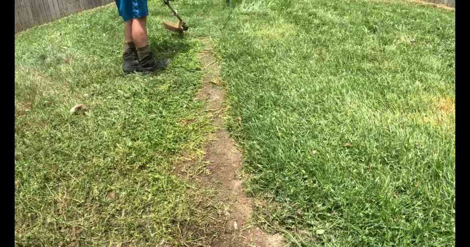 Detailed mowing of an overgrown residential meadow