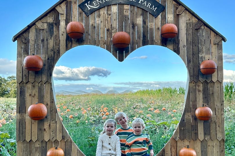 The pumpkin patch festival and farm shop people 'travel miles to visit'