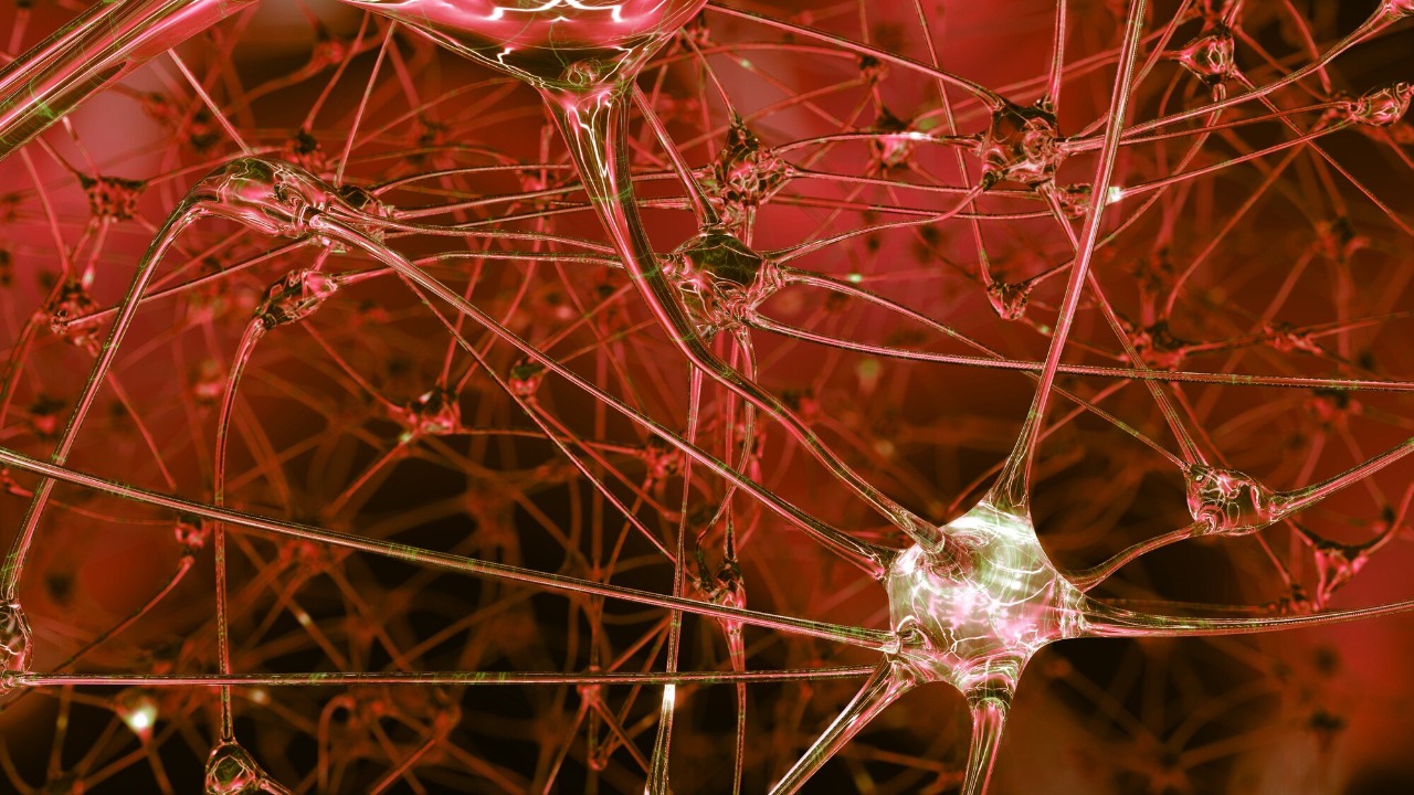 Brain‑inspired Mott neurons made of niobium dioxide