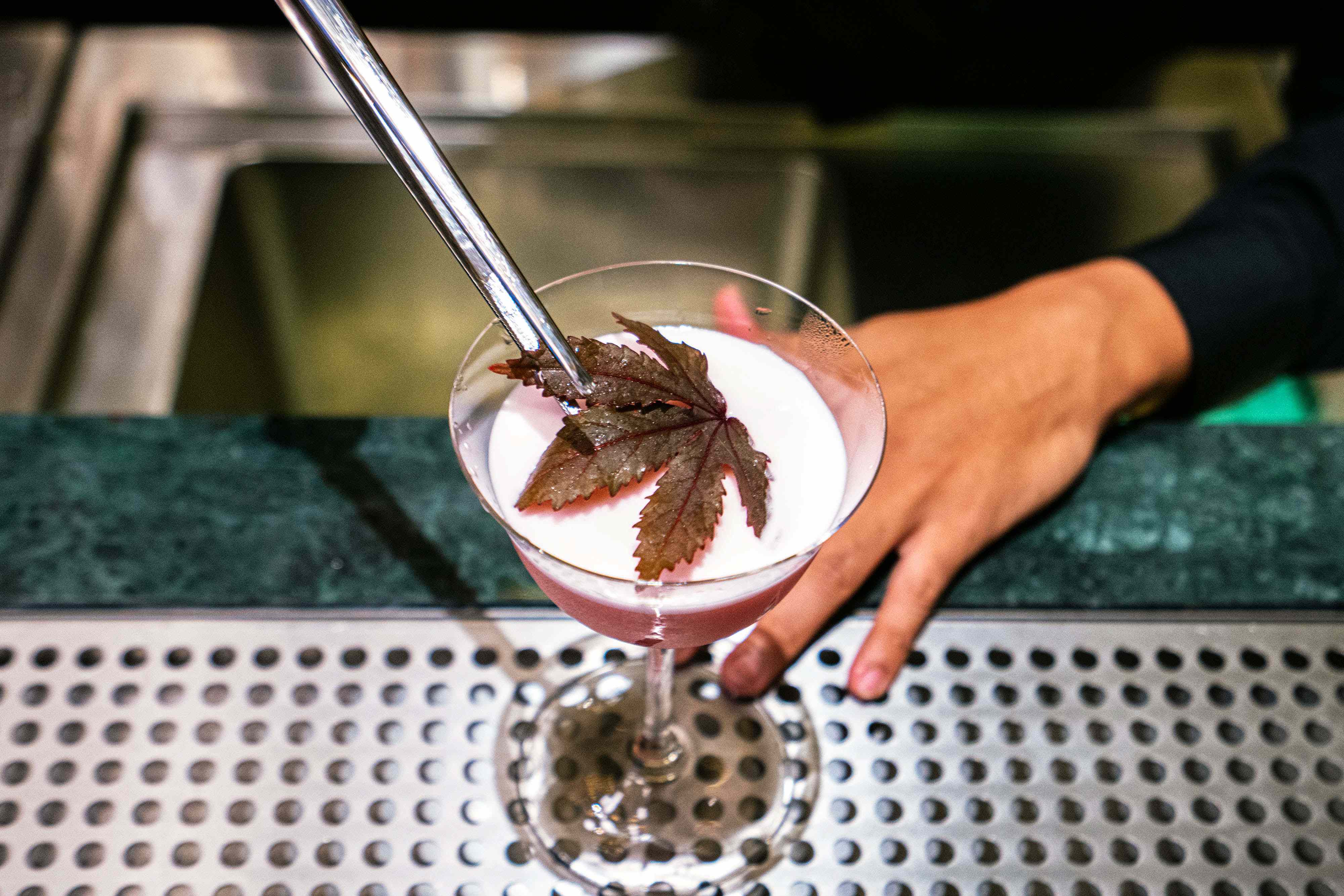 Alcohol vs. THC: What’s the Healthier Option? Here’s Where the Research ...