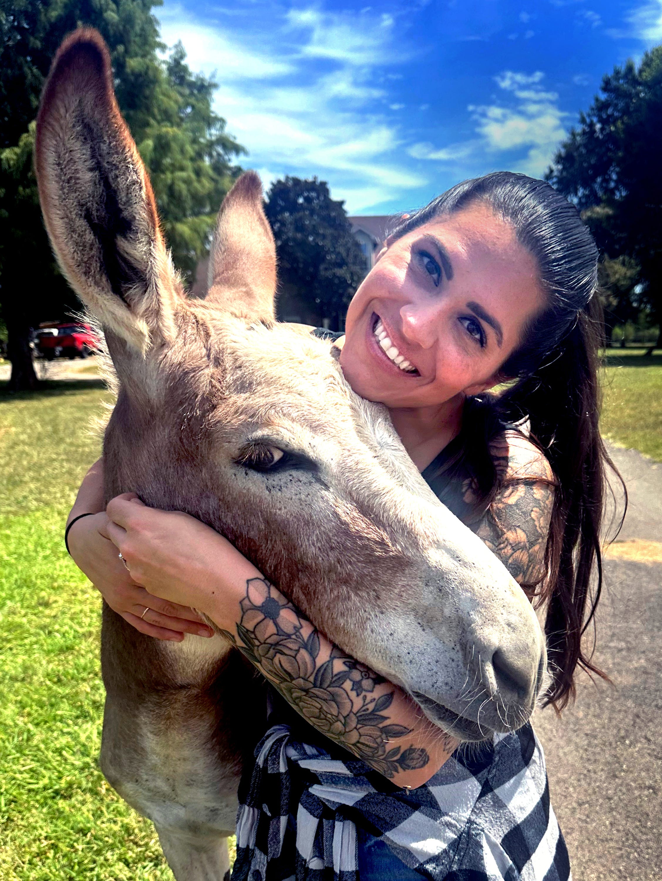 Mateo the donkey, 'quite the entertainer,' gets loose on Murfreesboro's ...