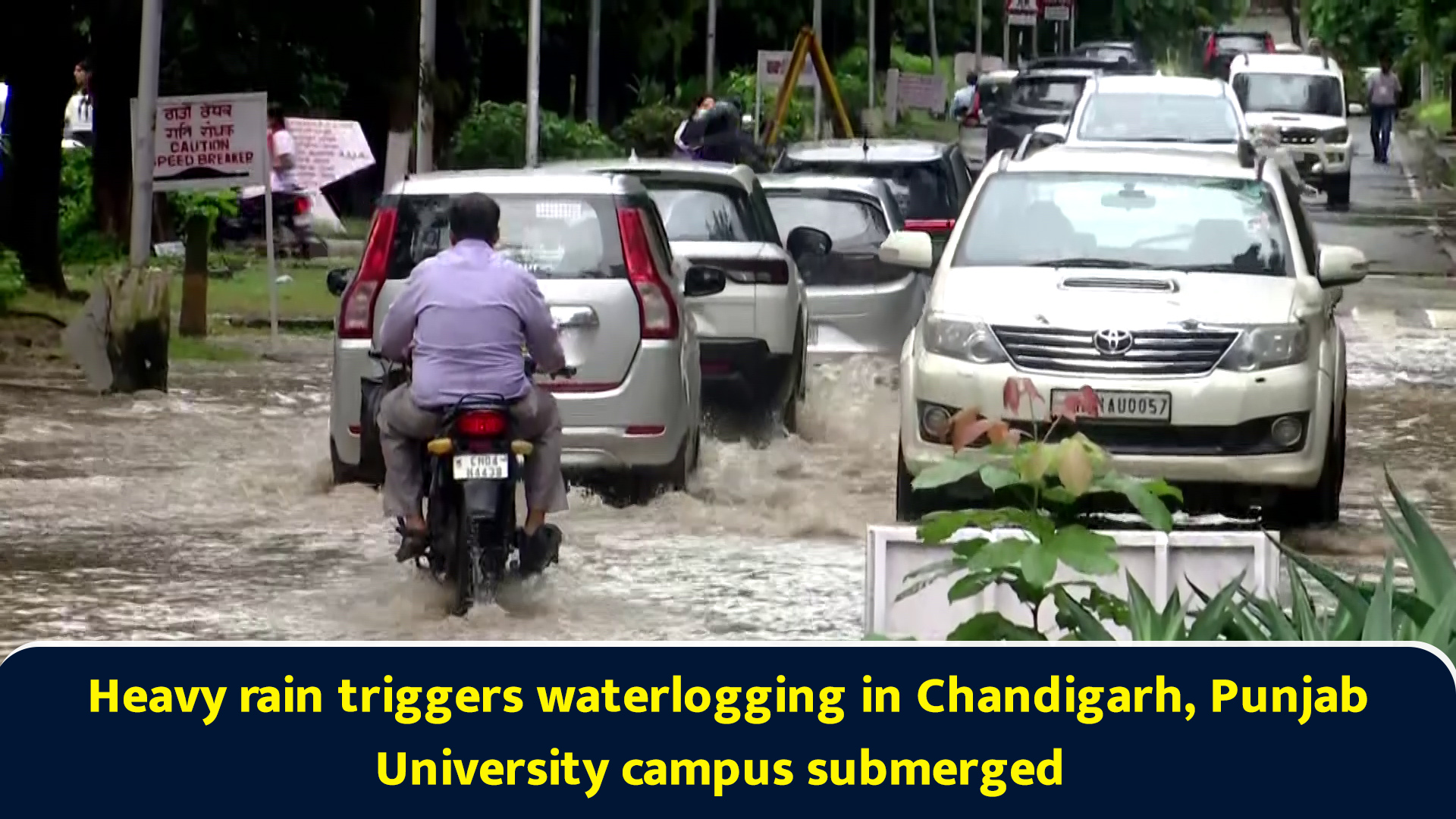 Heavy rain triggers waterlogging in Chandigarh, Punjab University ...