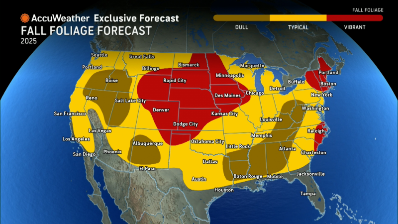 Factors for good fall foliage