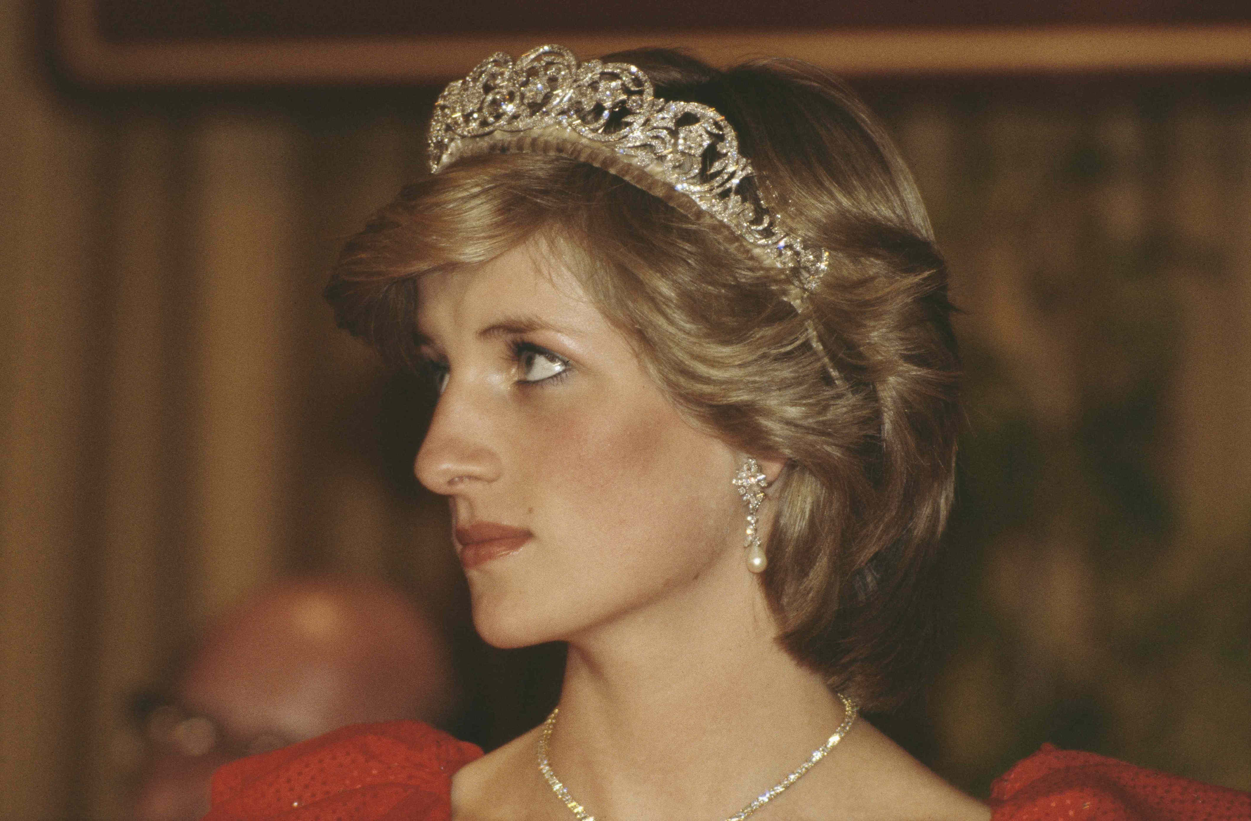 Former Palace Press Secretary Reveals What Happened When Princess Diana ...
