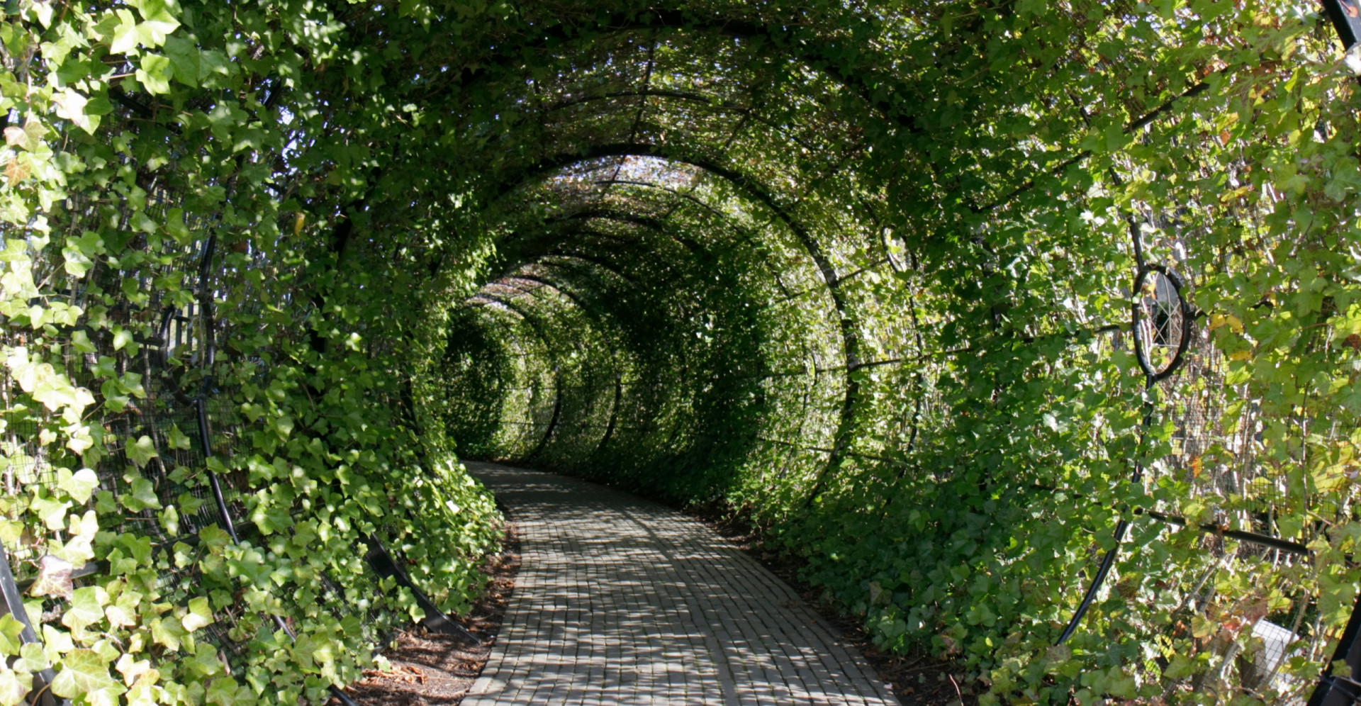 Inside the world's deadliest garden