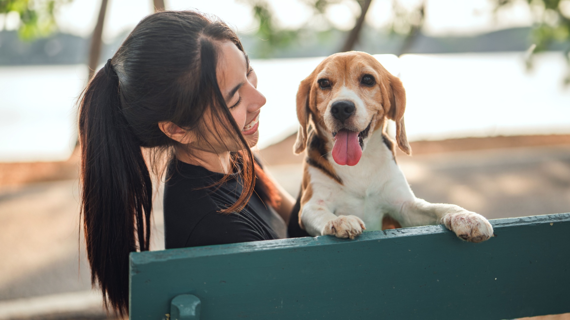 7 Friendliest Dog Breeds That Love People