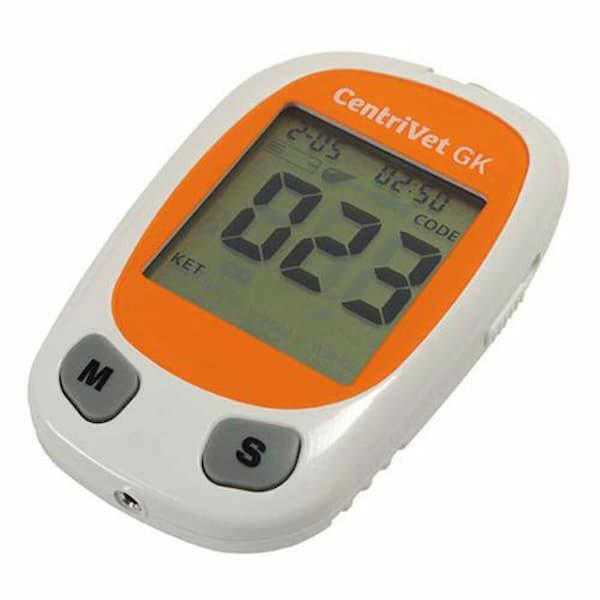 How to Check Cat and Dog Blood Sugar Levels at Home