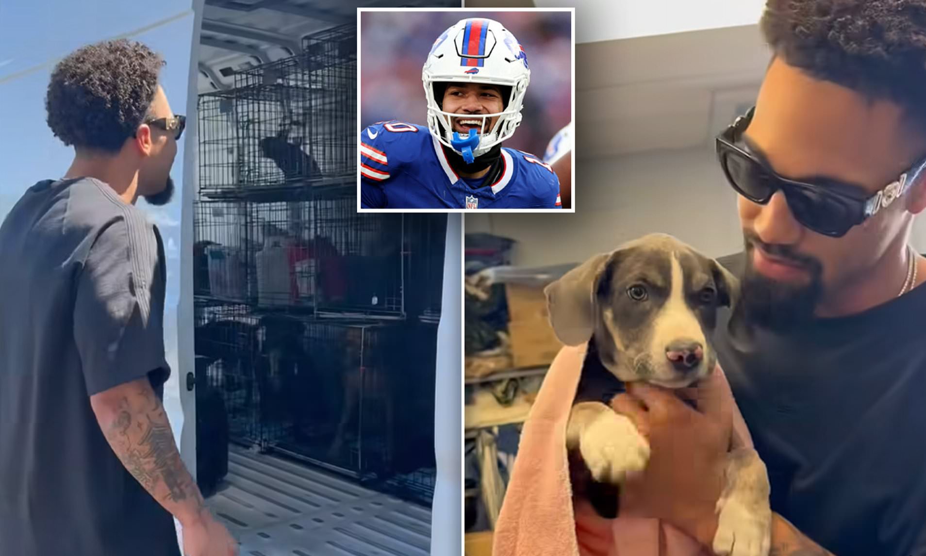Adorable puppies rescued from death row by unlikely hero