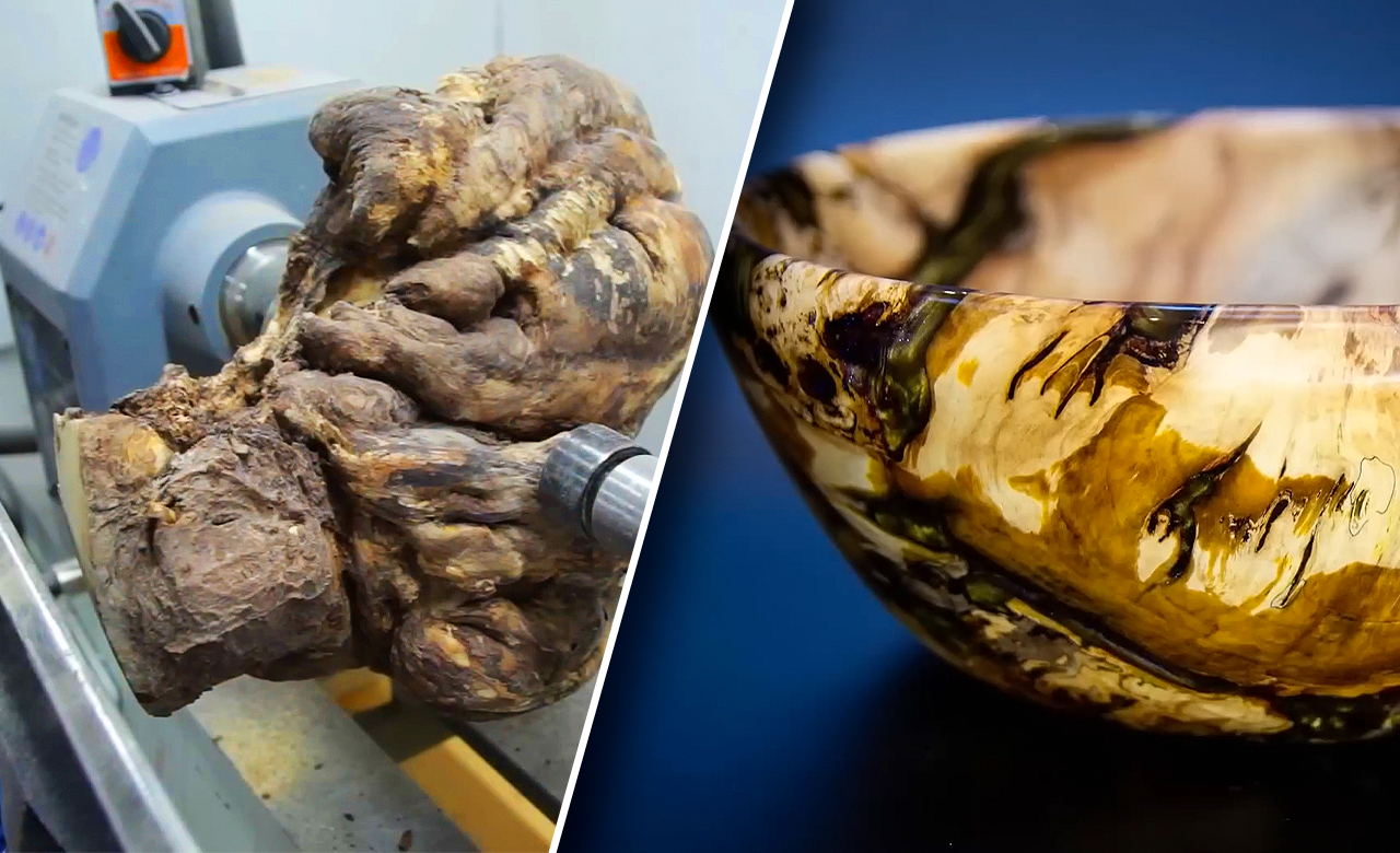 This burl holds hidden beauty! 🌟