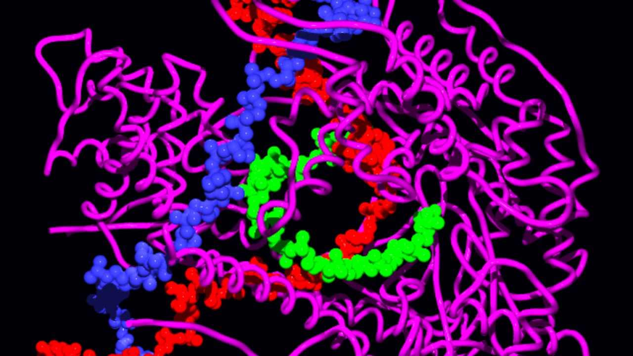 Thylacine RNA recovered: Tasmanian tiger biomolecules brought back