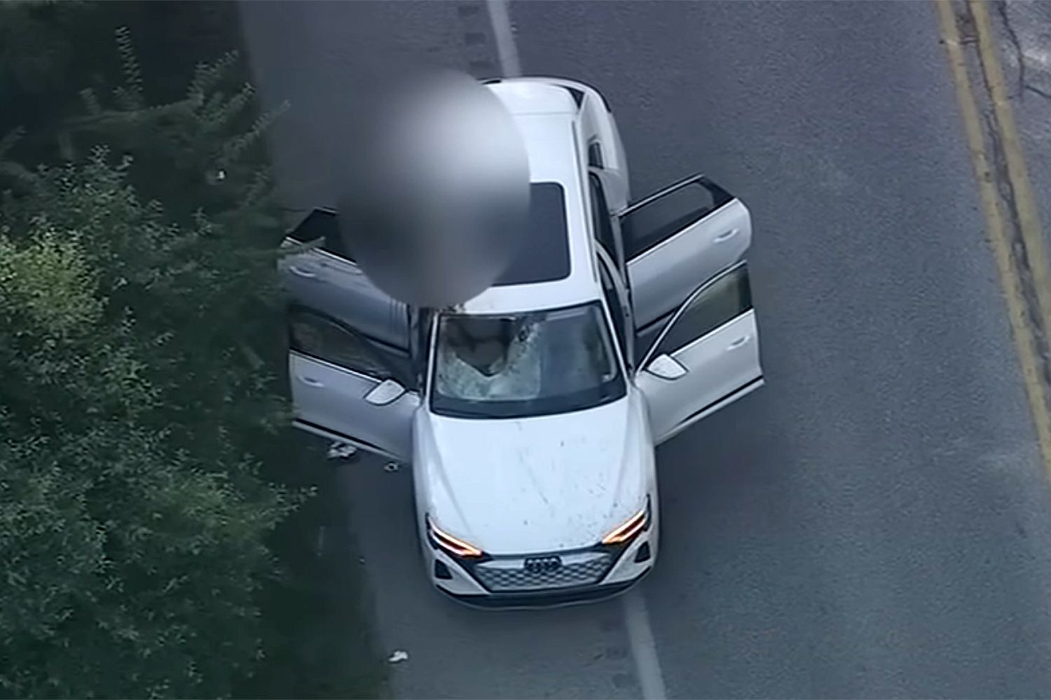 Boy Killed in Freak Accident When Deer Hit His Car's Windshield After ...