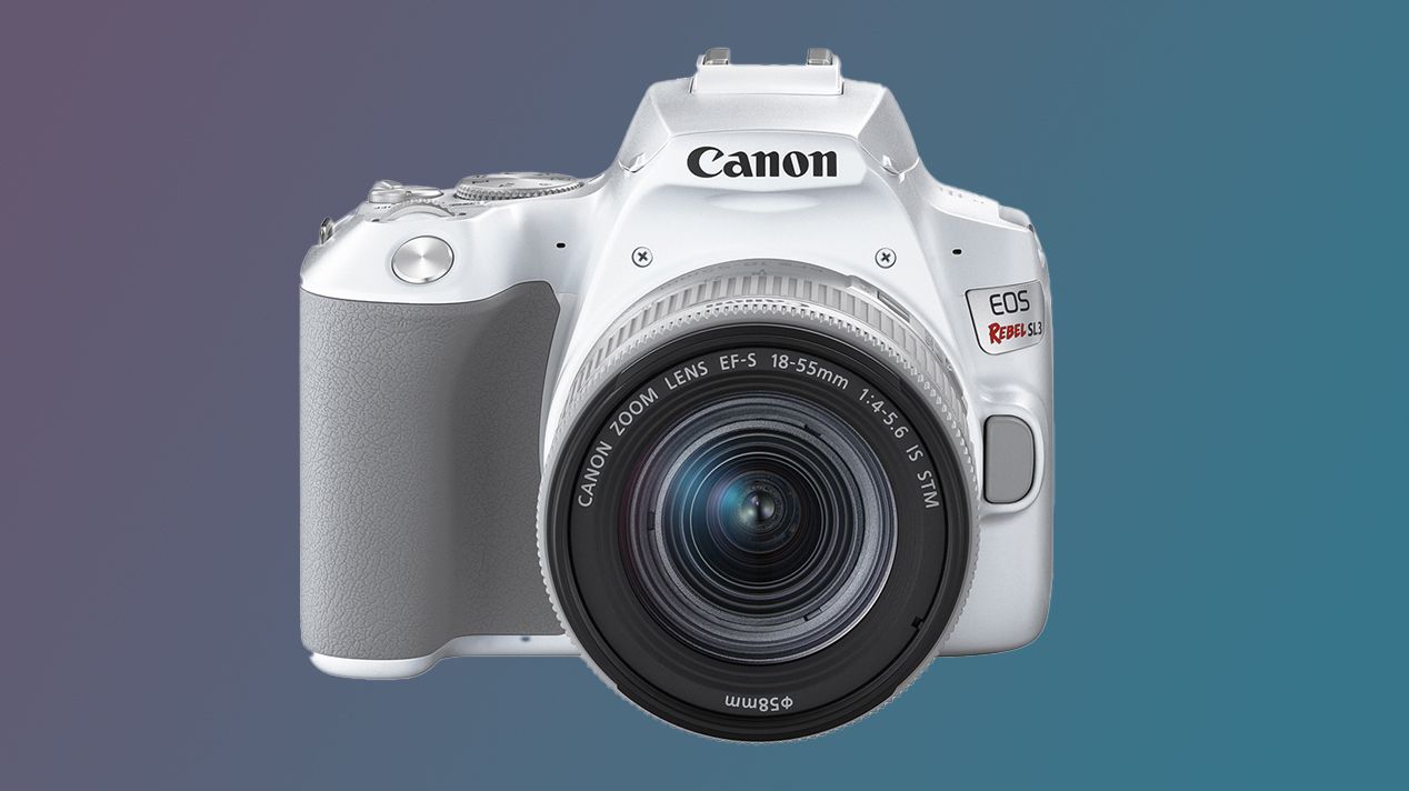 The Canon SL3 has aged better than some mirrorless cameras