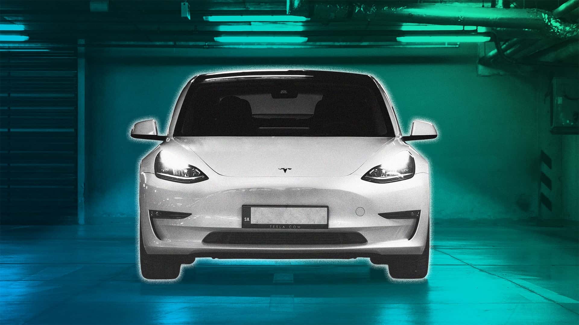 ‘My Favorite One Is Changing the Energy Display’: New Jersey Expert ...