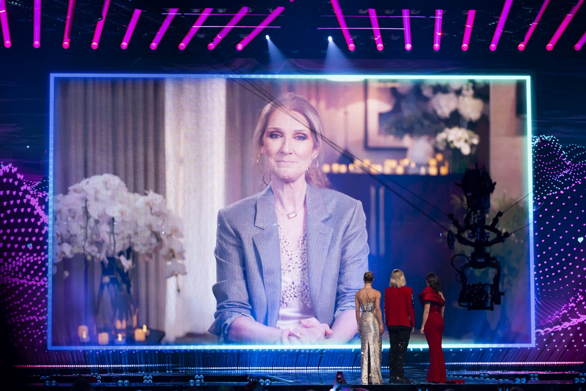 Celine Dion was 'never set to perform' at Eurovision