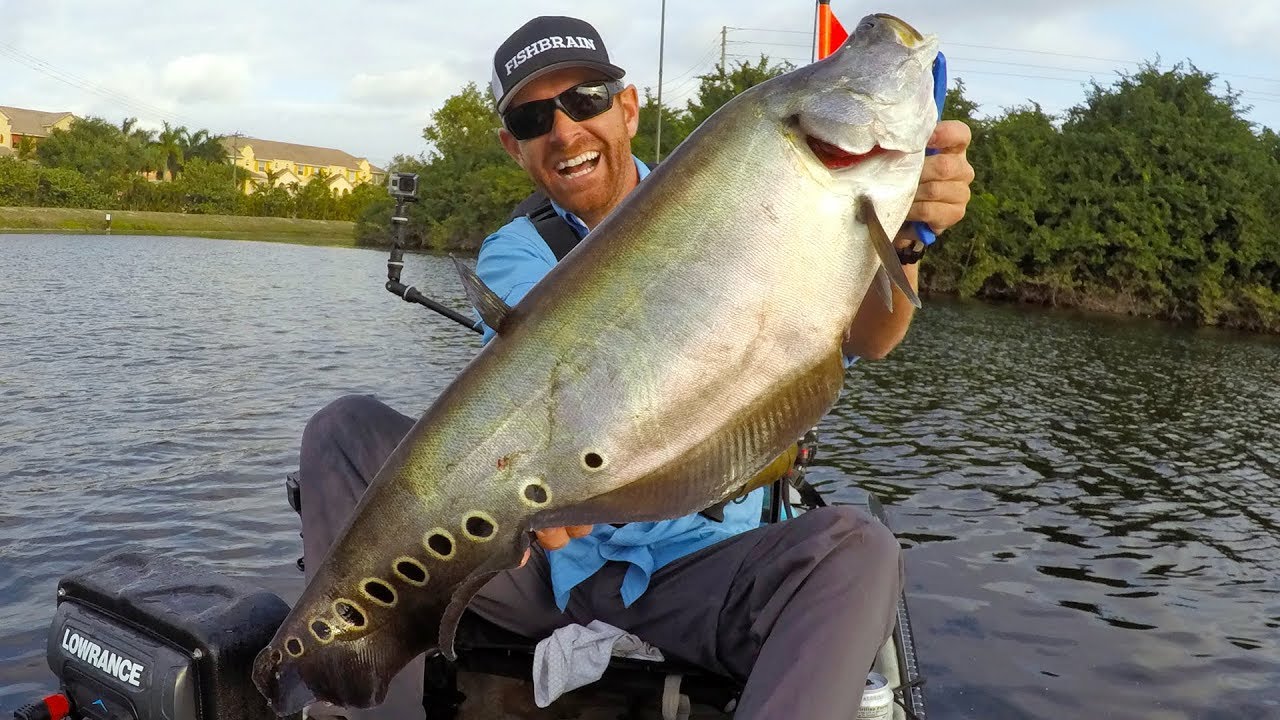 Catching clown knifefish in Florida’s wild canals