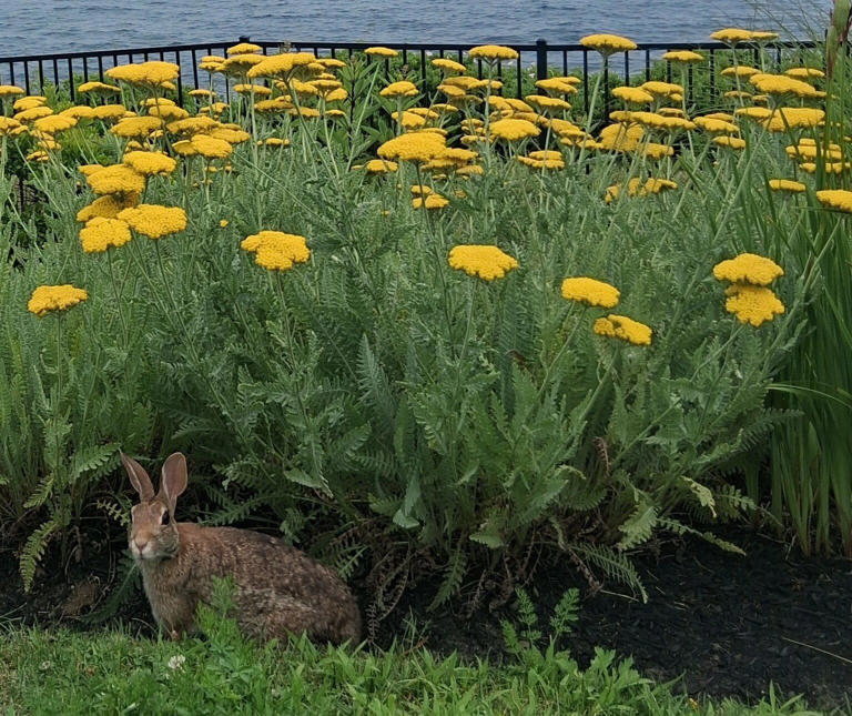 'Fall' in Love with New England This Season