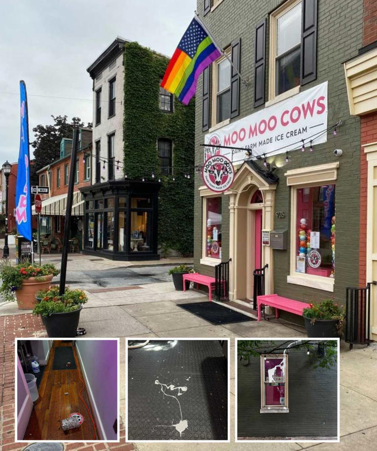 ‘Physically And Emotionally Demanding’: Moo Moo Cows Reopens After ...