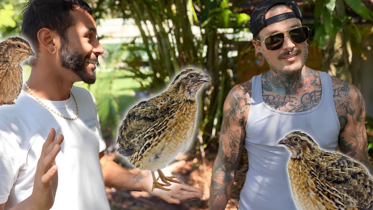 Blake’s Exotic Animal Ranch Trades Quail for Tattoos in Wild Deal