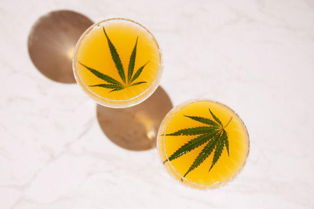 Alcohol vs. THC: What’s the Healthier Option? Here’s Where the Research ...