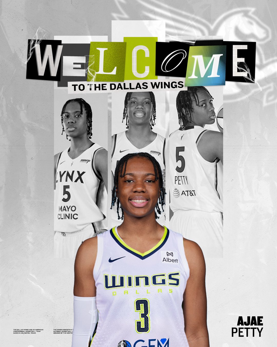 5 Things To Know About Dallas Wings' Latest Signee Ajae Petty