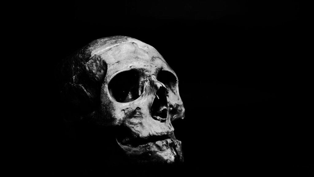 Scientists Find a Skull of an Ancient Child That May Not Have Been ...