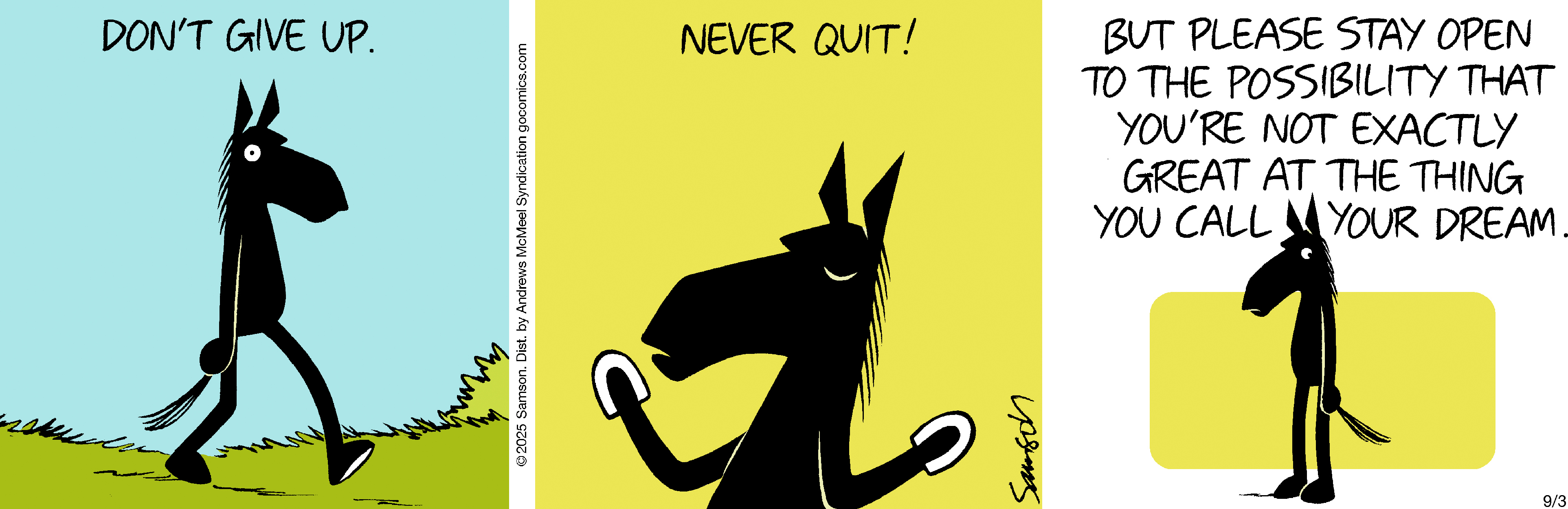 Dark Side of the Horse by Samuli Lintula