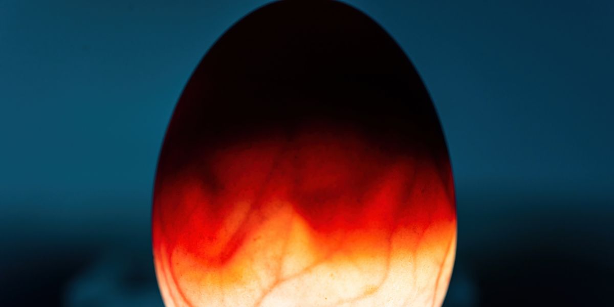 Scientists Think They’ve Found Life’s Original Catalyst