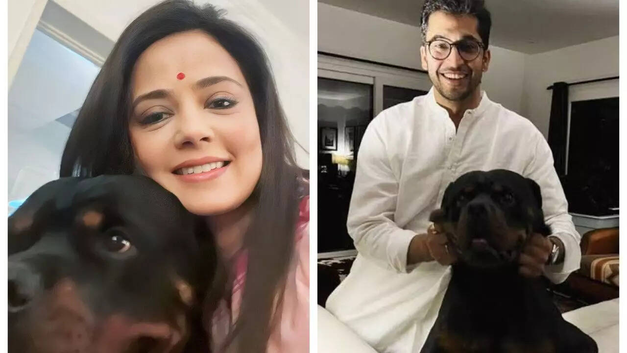 Mahua Moitra vs Jai Dehadrai over pet Henry: Why don't you sit together ...