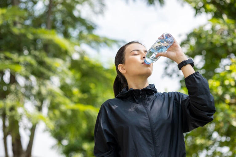 Saúde vascular no inverno: 4 dicas para melhorar a circulação e evitar ...