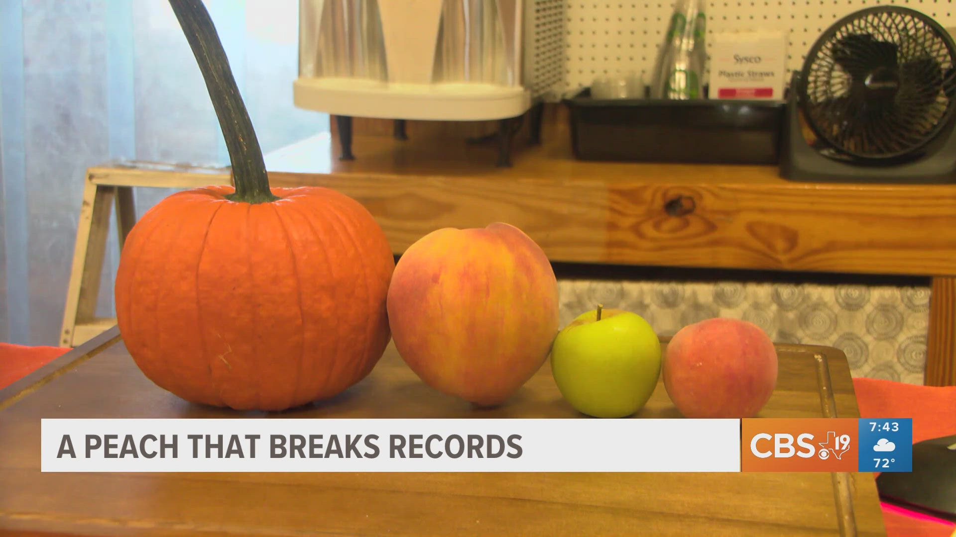 Orchard grows record-breaking peach